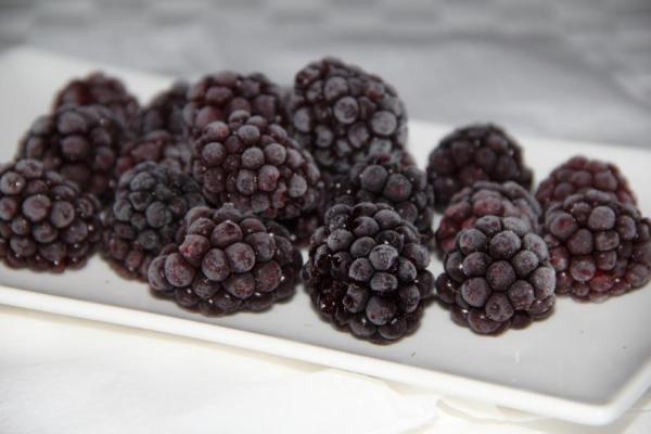 Bevroren fruit, is dat gezond? » De Levensstijl